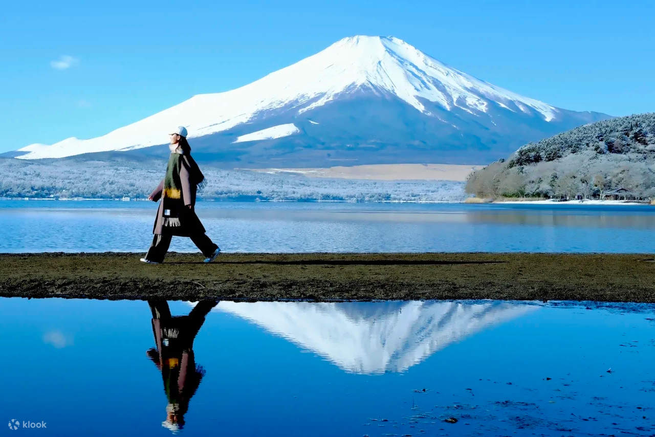 [New way to experience Mount Fuji - Fuji-Q train experience] Fuji-Q ...